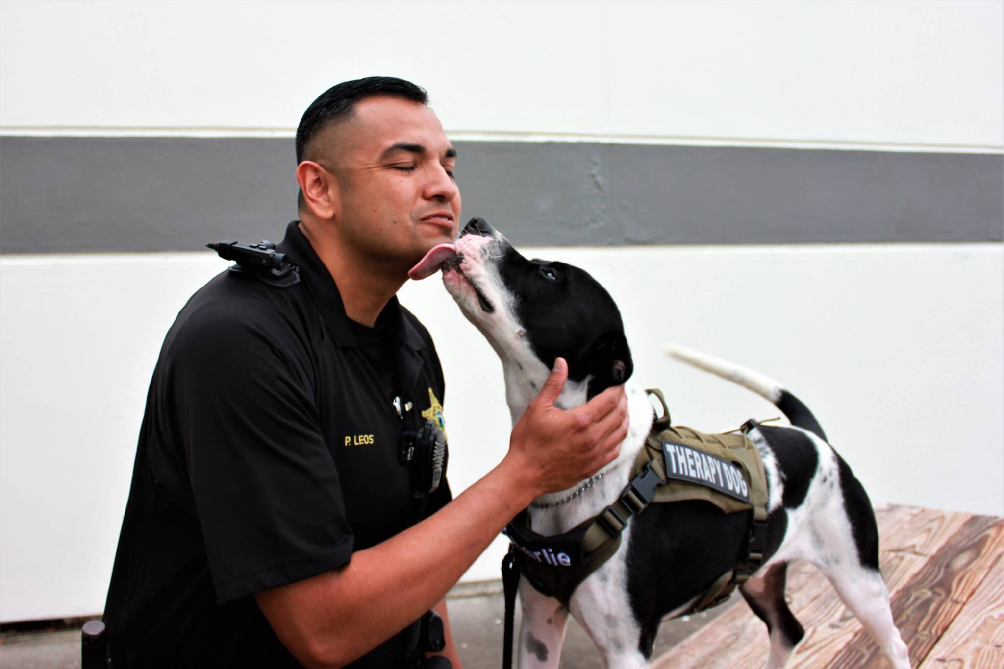 Florida Jail Information System - Florida Sheriffs Association